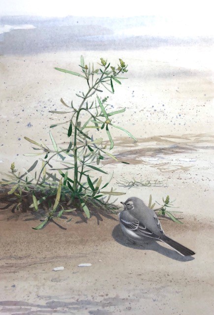 Bird #1 by Lars Jonsson