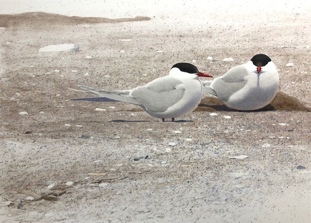 Bird #2 by Lars Jonsson