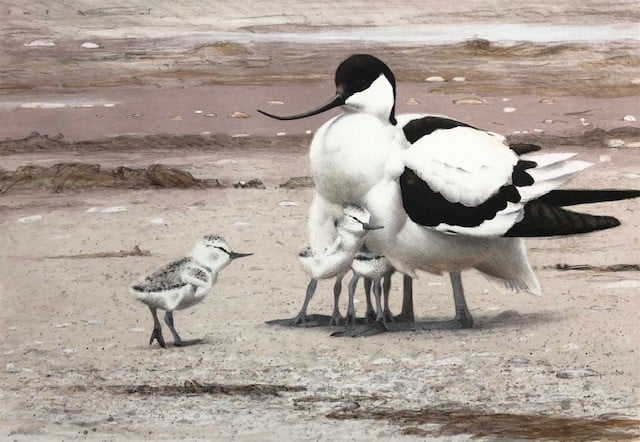 Bird #3 by Lars Jonsson