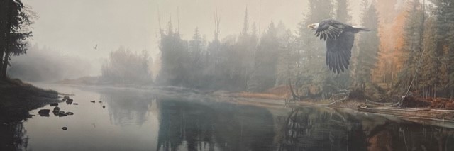 Call of Autumn - Bald Eagle by Terry Isaac