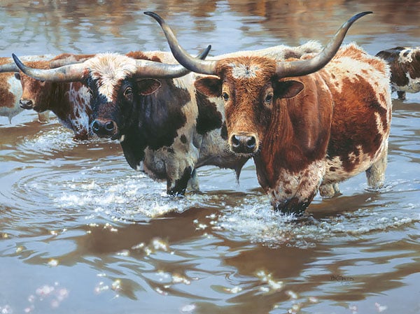 Crossing the Big Sandy by Bonnie Marris