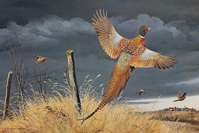 Dark Sky - Pheasants by Maynard Reece