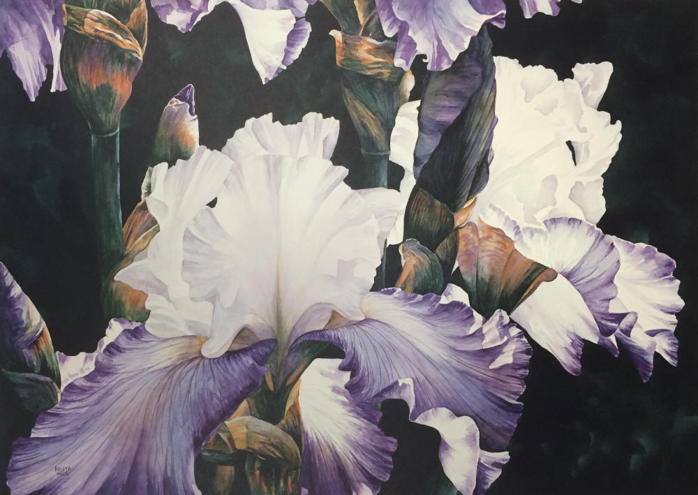 Flirtation by Arleta Pech