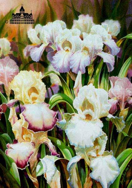 Iris I by Darryl Trott