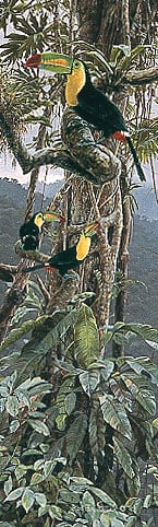 Los Colores de Chiapas by Rod Frederick