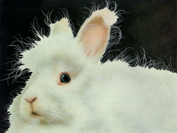 Mr. Harry Buns by Will Bullas