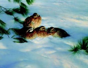 Nestled In by Nancy Howe