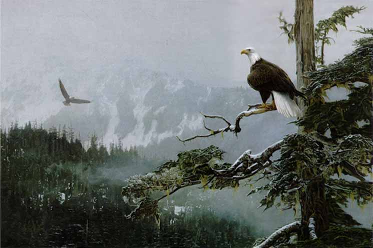 On Eagles Wings by Terry Isaac