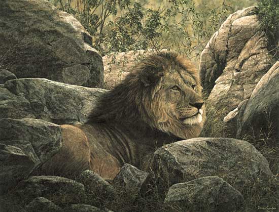 Serengeti Monarch by Simon Combes