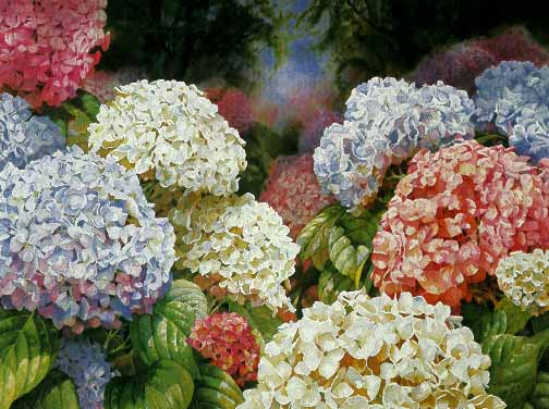 Shades of Summer by Darryl Trott