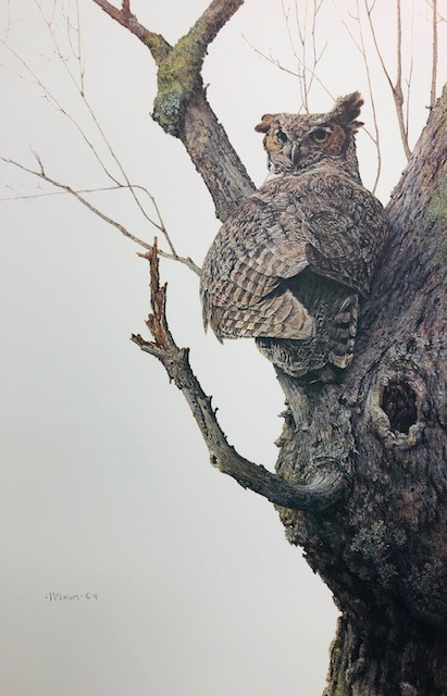 Silent Watch - Great-Horned Owl by George McLean