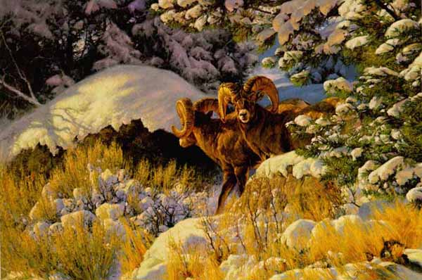 The Boys of December by Greg Beecham