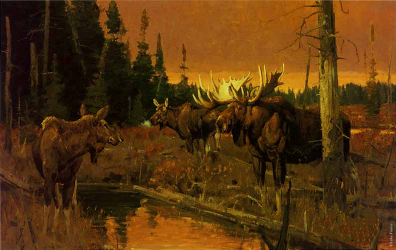 Unconquerable by Luke Frazier