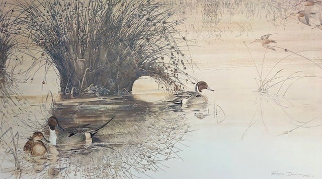 Untroubled Water by Thomas Quinn