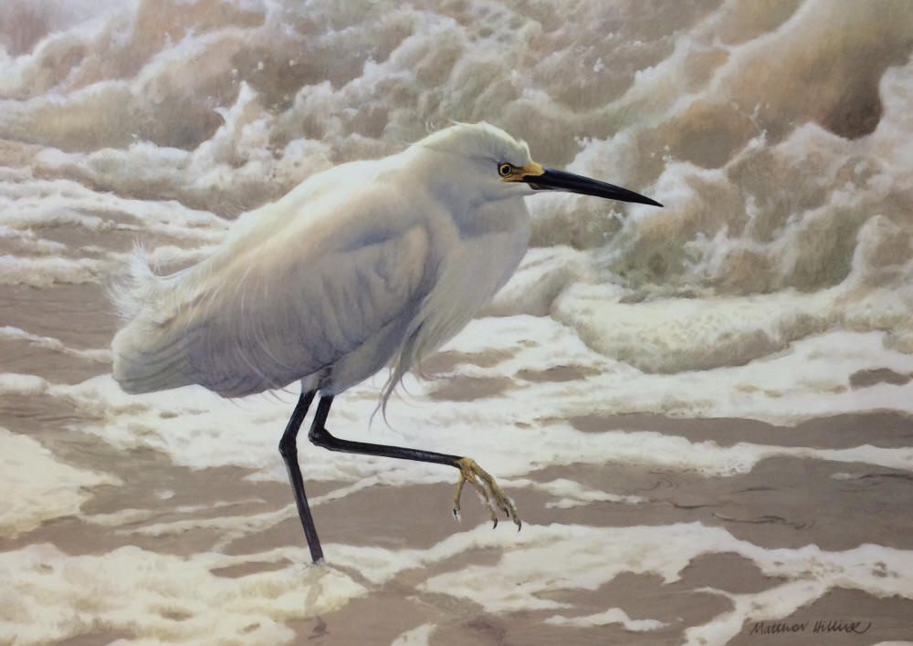 Wave Dance by Matthew Hillier