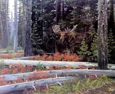 Sudden Encounter by Al Agnew