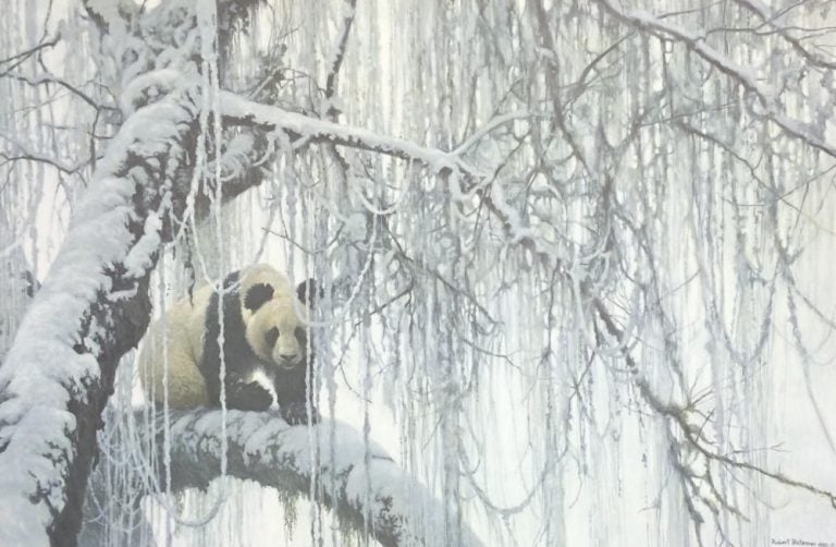 Winter Filigree - Giant Panda by Robert Bateman