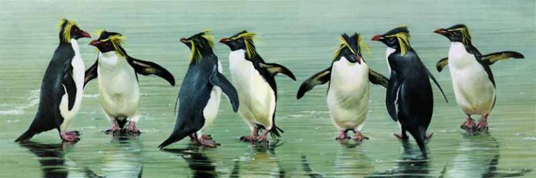 Take Your Partner by Matthew Hillier