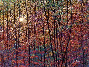 Autumn Sunburst by Tim Packer